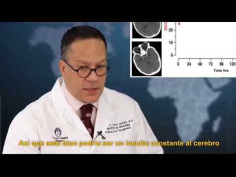 Updates in Pediatric Traumatic Brain Injury by R. Tasker | OPENPediatrics