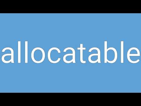 Allocatable Definition & Meaning