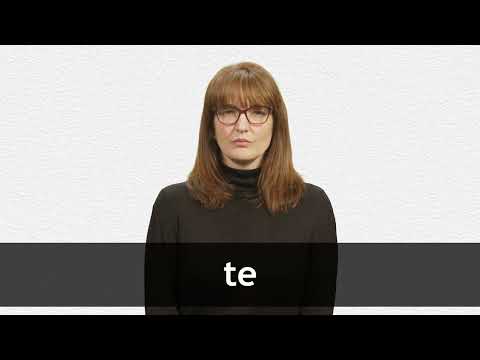English Translation of “TE” | Collins Spanish-English Dictionary
