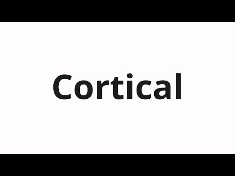 How to pronounce Cortical