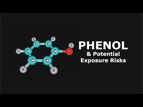 Identifying Occupational and Environmental Exposure Risks to Phenol and ...