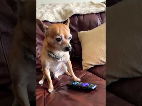 Oh, Ace The Ratchi.