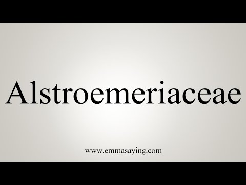 How To Say Alstroemeriaceae