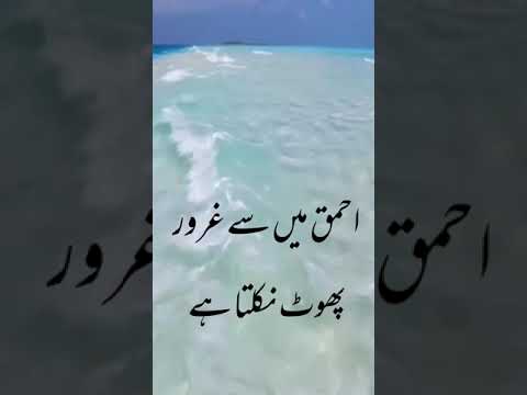 Proverbs 14 : 1-3 || bible moqdas || urdu || handi || short || Evangelist Munawar Adil