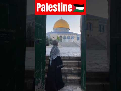 Palestine???????? #shorts #shortsfeed #palestine