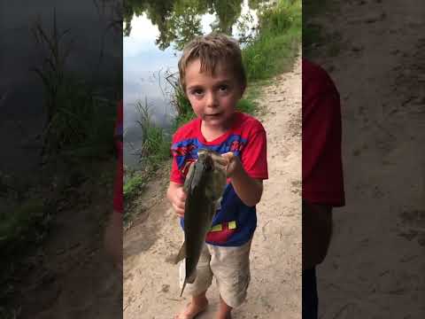 The greatest fishing video ever ????
