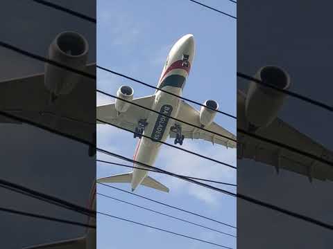 biman #shorts