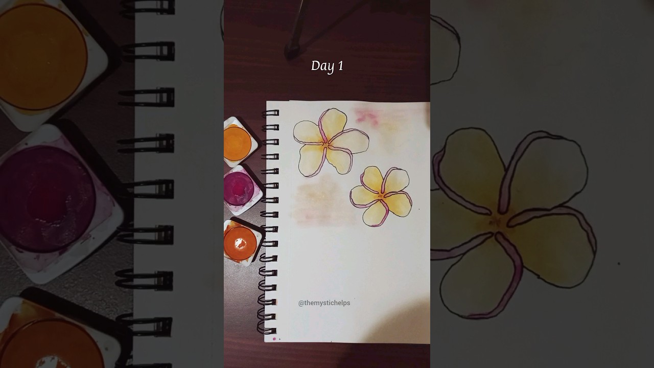 Day 1 :- 7 days of expressing Gratitude with flowers #7dayschallenge