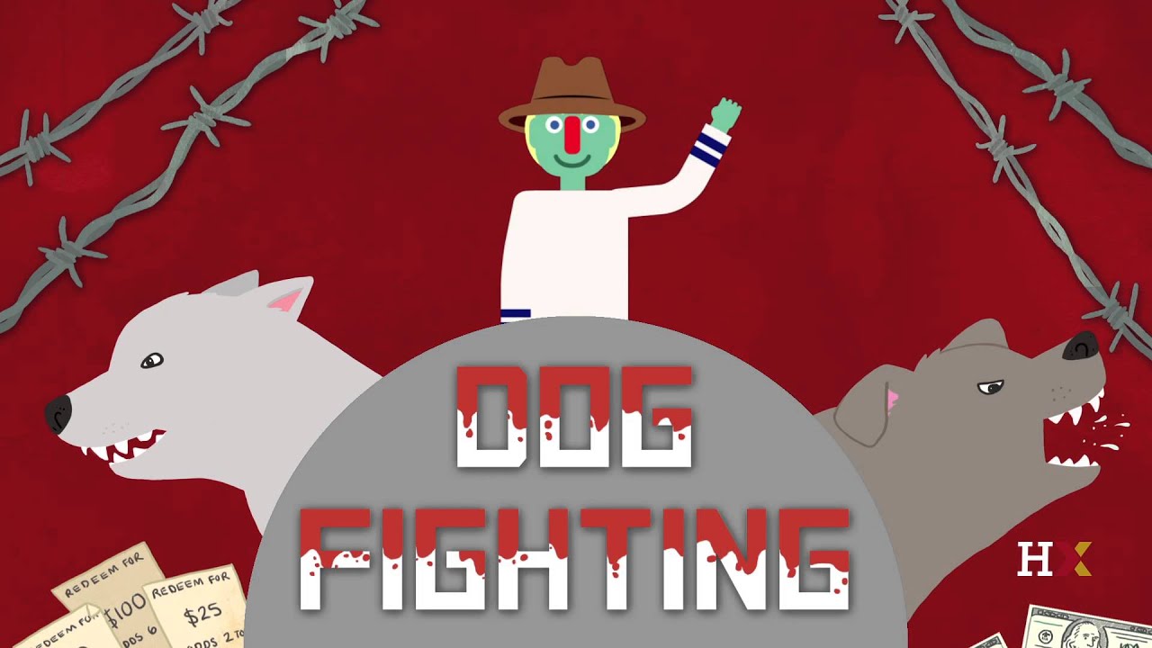 HarvardX: Justice (2)