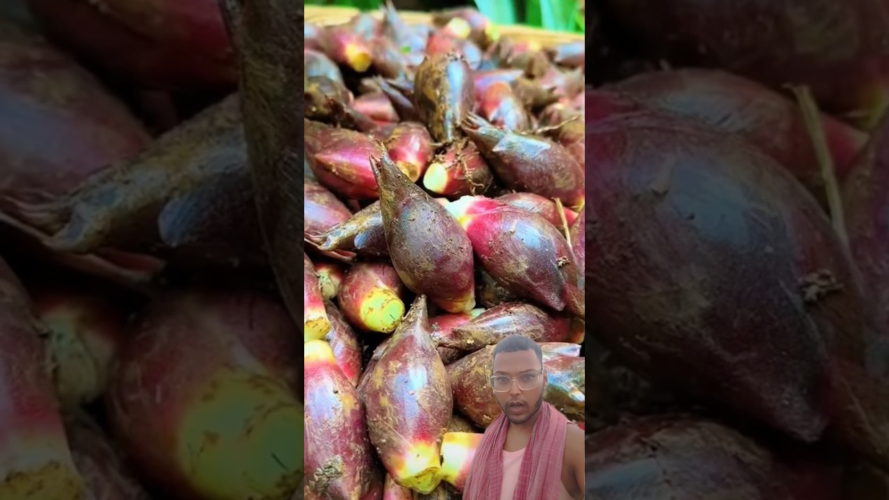 This Root Vegetable Is Found Deep in Chinese Forests—And It’s Totally Edible!