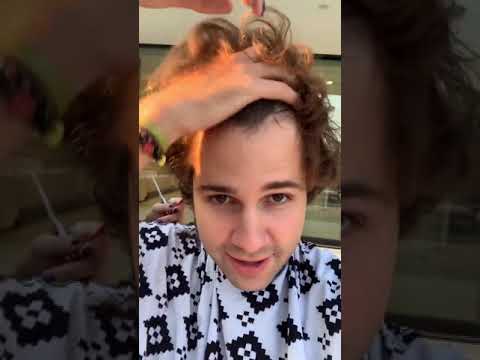 Taylor Doesn't Agree That David Dobrik is Balding