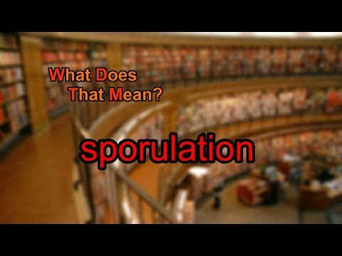 What does sporulation mean?