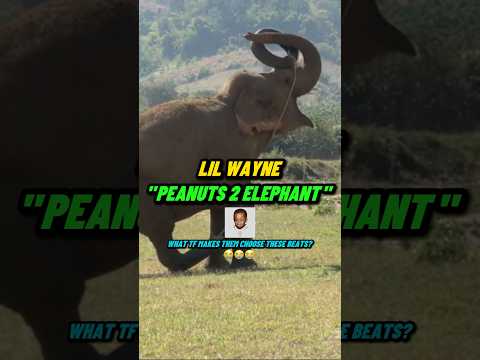 Great Rappers, BAD Beat Selection… (Lil Wayne & Eminem)