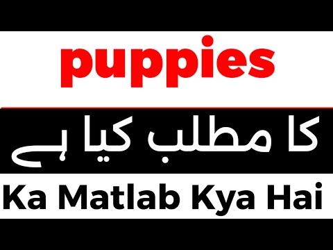 Puppies Meaning In Urdu | Puppies Meaning | Puppies Ka Matlab Kya Hota Hai | Puppies Urdu Meaning