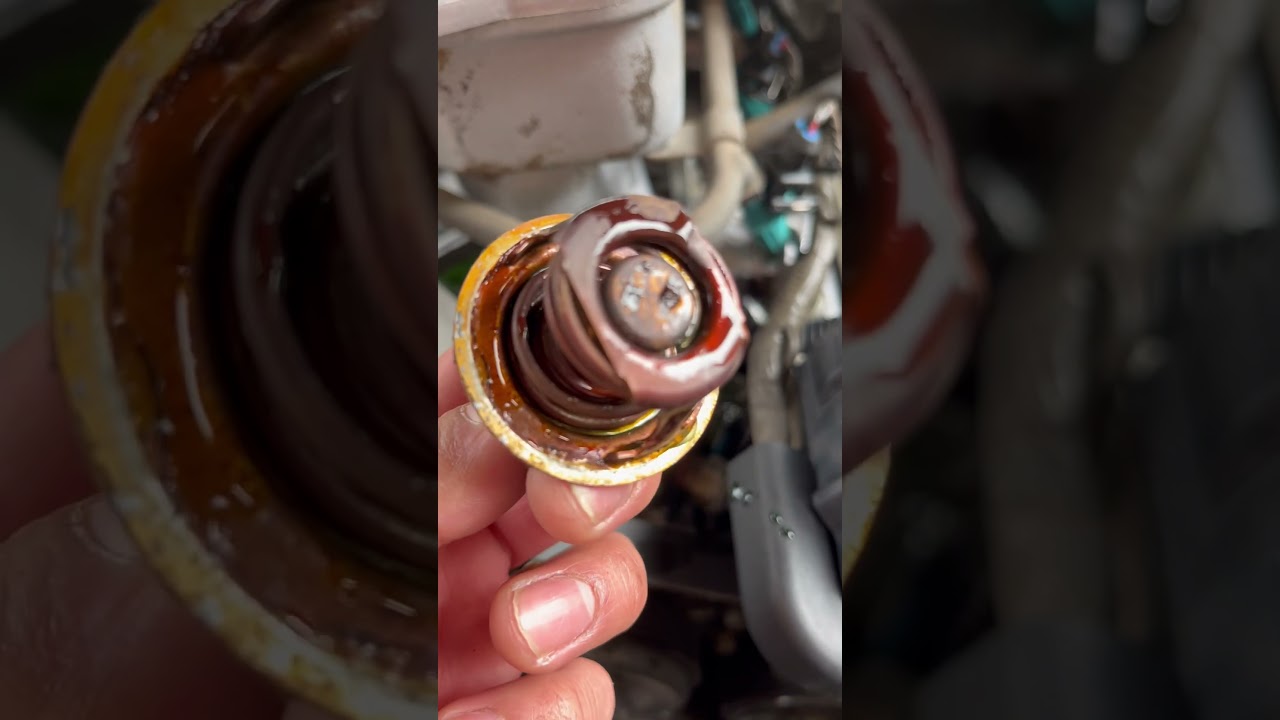 1998 VT commodore thermostat replacement #shortsvideo