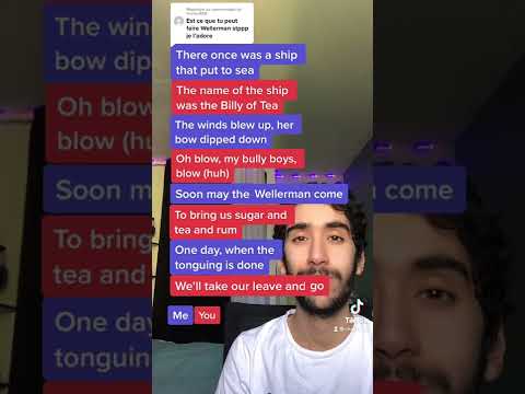 Can you sing Wellerman π€ in karaoke ? π€ #duos #duet #nathanevans #popcornduet #singing #challenge
