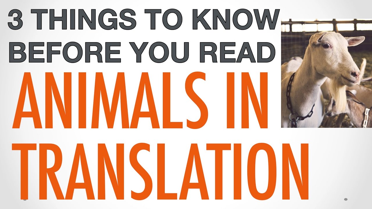 Understanding Animals in Translation: Key Insights Before You Read ...