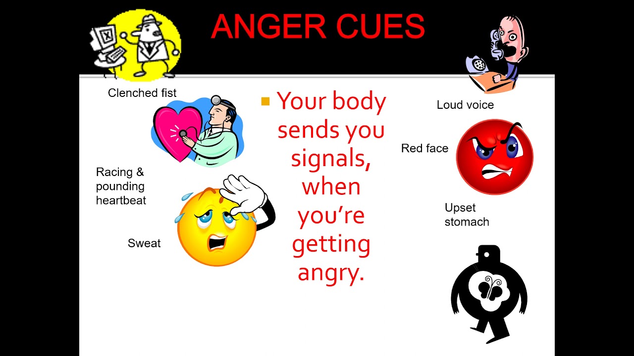 The Basics of Anger Anger Management 101 PPT Lecture