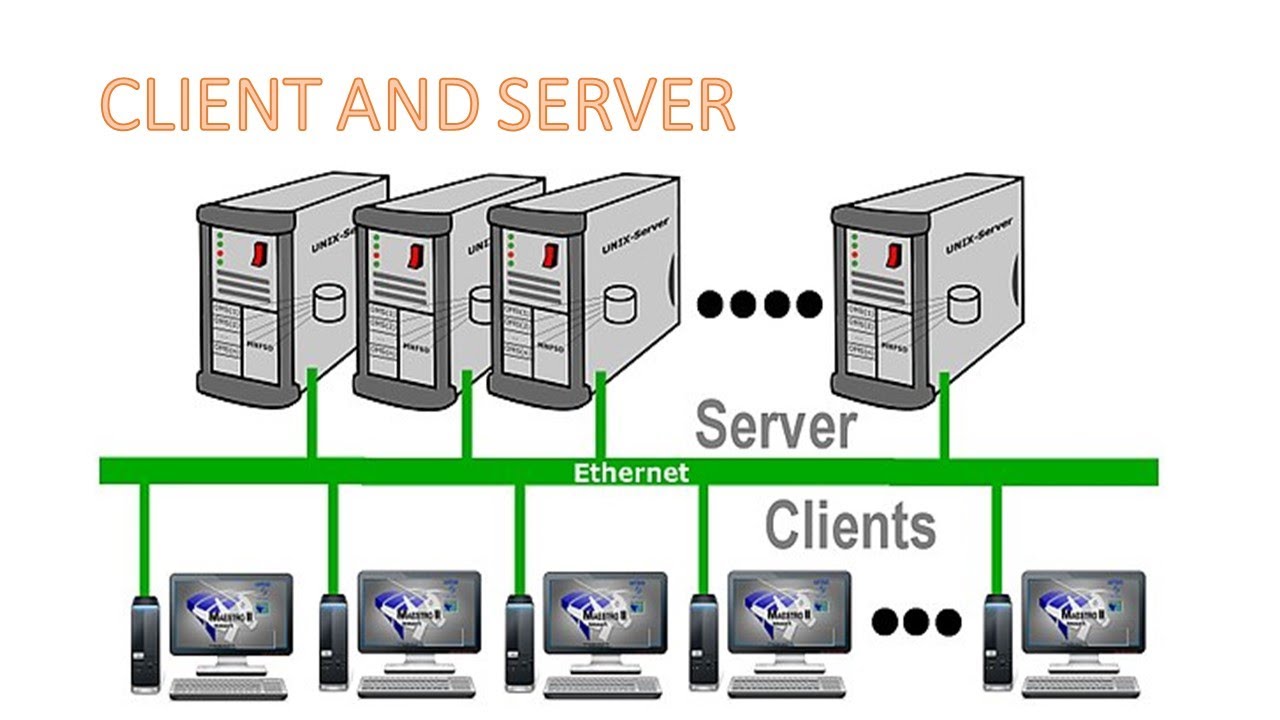 Server and Client in a Computer Network