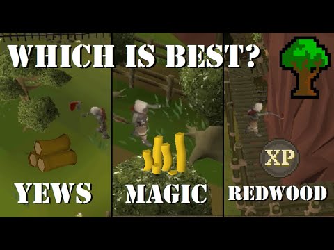 1 Hour of Cutting Trees at the Woodcutting Guild - OSRS