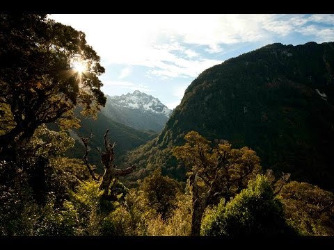 ‘Poisoning Paradise: Ecocide New Zealand’ movie from 2009 | Waikanae Watch