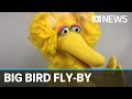 Sesame Street Abc News Watch HD Mp4 Video Download Free