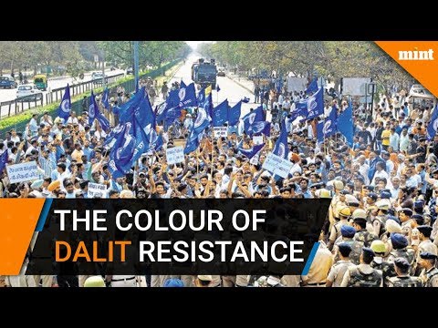 Why is blue the colour of Dalit resistance? Dalit, Dalit protest, SC/ST ...