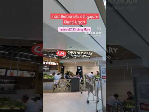 Indian restaurants in Changi Airport #shorts #travel #singapore #indianfood #tips #india