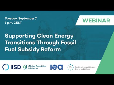 Webinar | Supporting Clean Energy Transitions Through Fossil Fuel Subsidy Reform