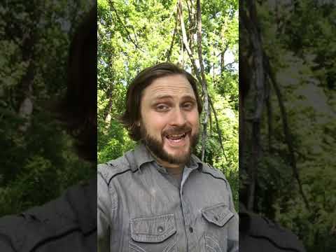 Pitt Home Buyers | What Is A Title Search In Greenville NC