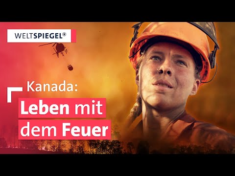 Helden am Limit: Feuerwehrleute im Einsatz gegen Kanadas Waldbrände | Weltspiegel