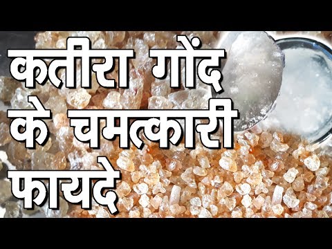 Tragacanth Gum - Katira Gum Latest Price, Manufacturers & Suppliers