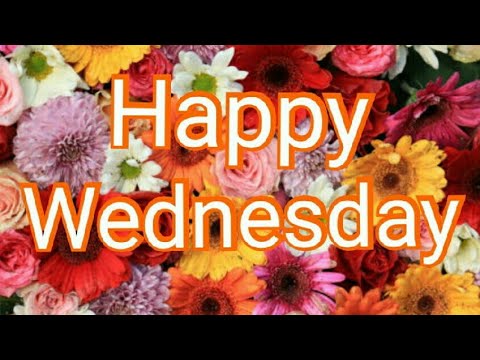 Good morning Wednesday images, best good morning images, whatsapp images & beautiful flowers images