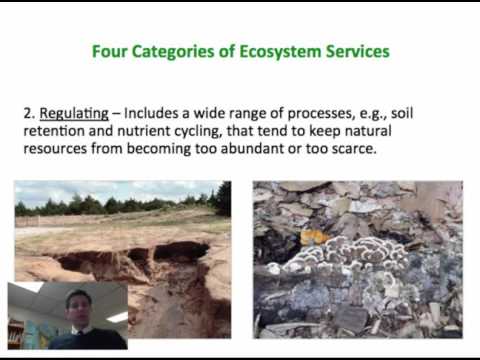 Natural Resources Ecosystem Services