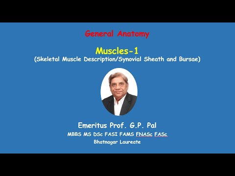 In HINDI Muscles 1