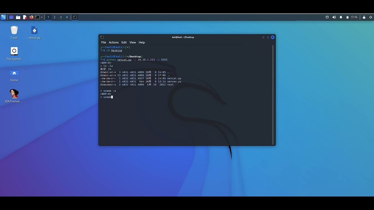 netcat.py from Black Hat Python 2nd Edition.