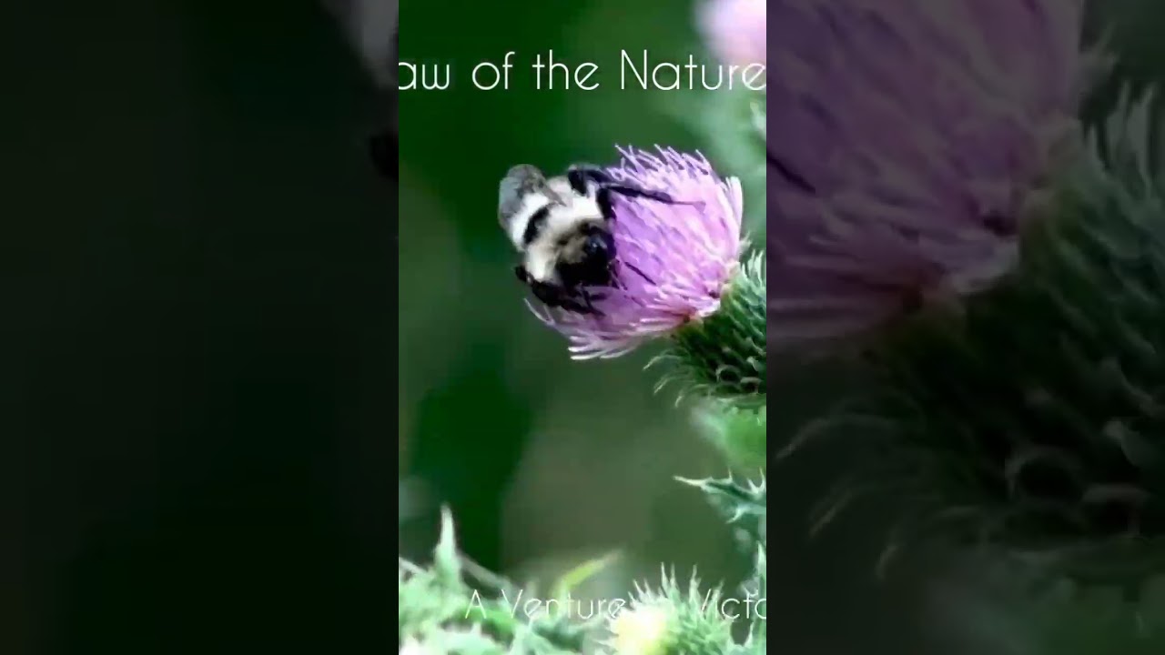 Law of Nature: Life Lessons from A Venture to Victory by Shahid Pervaiz #lifechanginglessons #speech