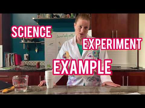 Example of a controlled experiment using the Scientific Method