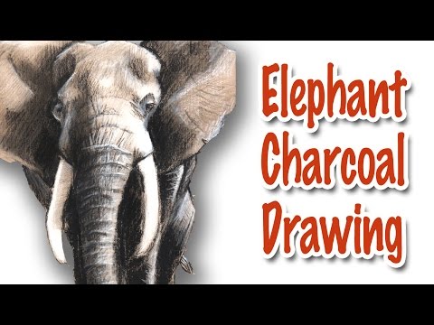 Elephant Speed Drawing, Charcoal – DraftingWood