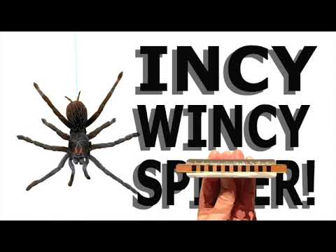 How to Play Incy Wincy Spider on the Harmonica