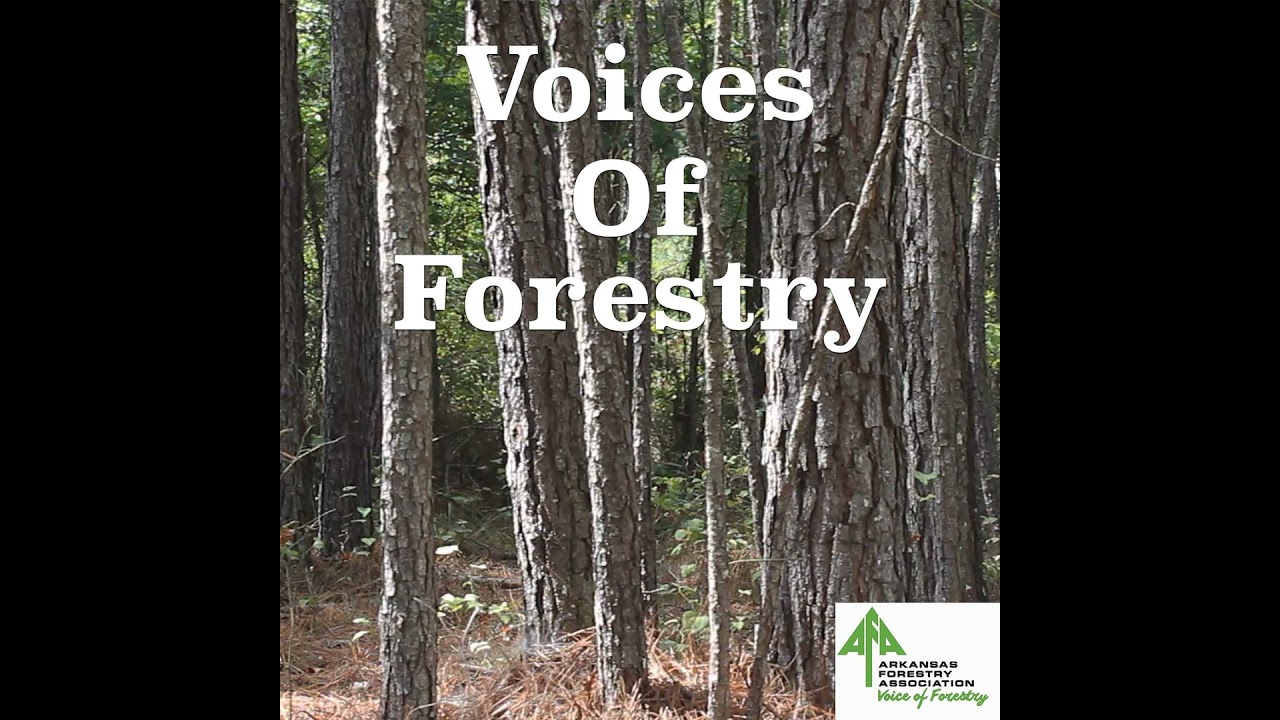Voices of Forestry Ep. 75 - The Arkansas Forestry Association Education Foundation