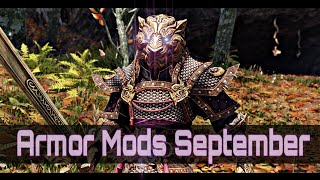 High quality armor mods of September 2022 at Skyrim Special Edition ...