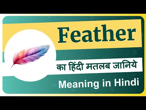 Feather meaning in Hindi | Feather ka matlab kya hota hai | Feather means and hindi word