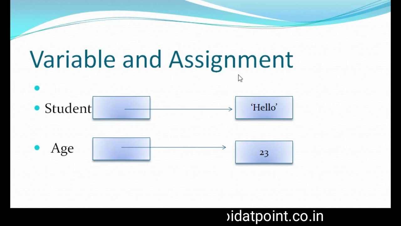 variable and assignment in python