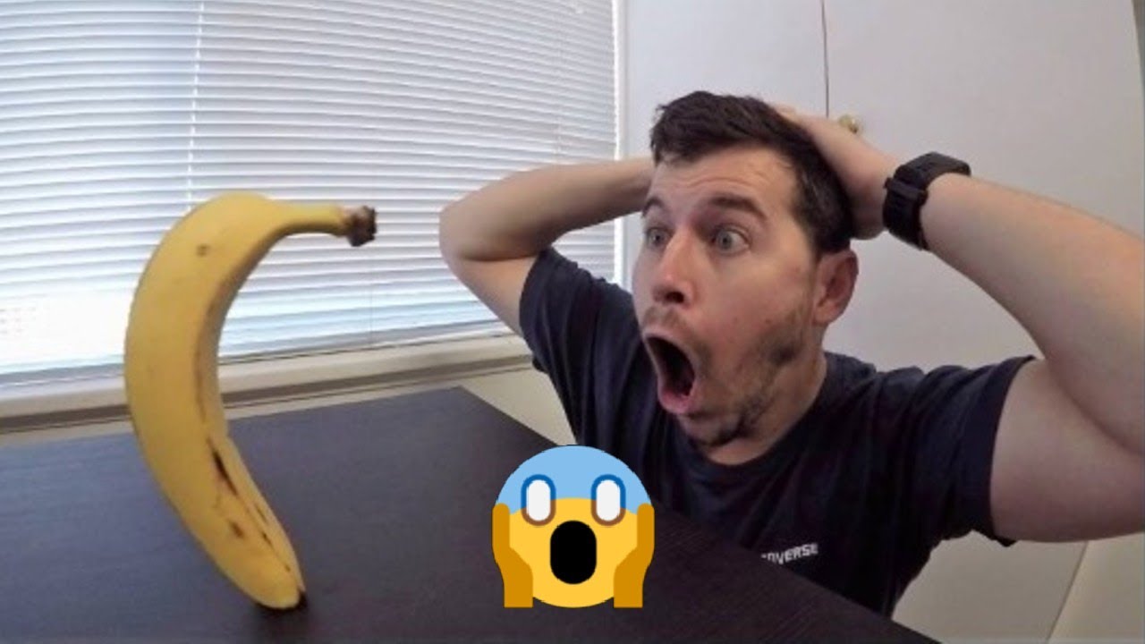 Shitpost Compilation V44