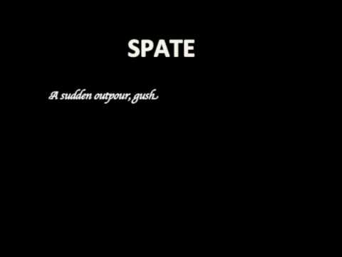 How to Pronounce SPATE
