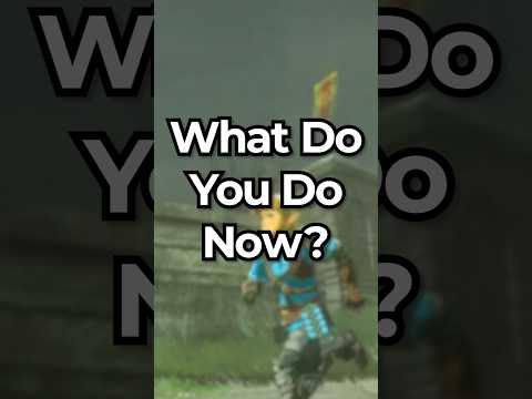 WHAT TO DO after FINISHING Tears of the Kingdom!
