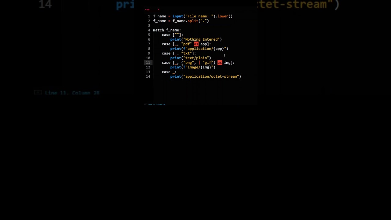 Python Match Case Multiple Values
