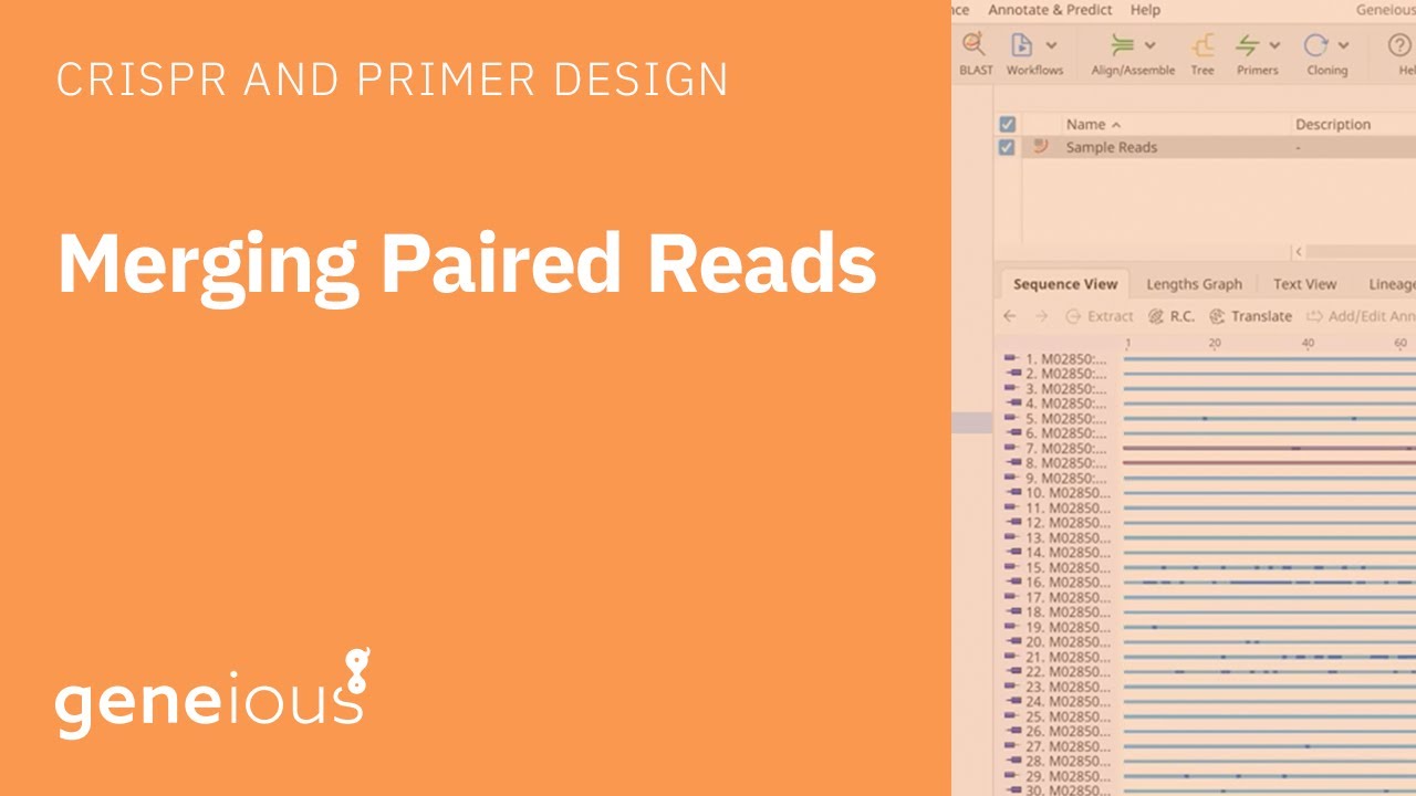How to Merge Paired Reads in Geneious Prime: Prepare Your Data for CRISPR Analysis