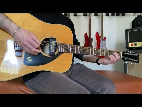 Vintage Aria 12-String Acoustic Guitar with Pickup – Model | Reverb